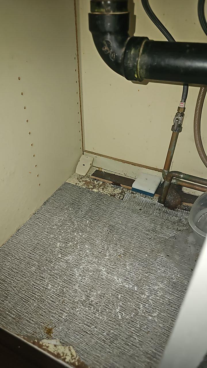 Burst Pipe Emergencies Toronto | GTARestoration.ca